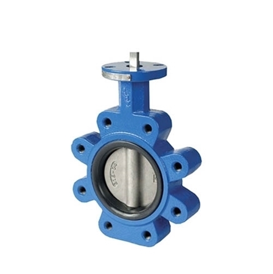 5" Electric Lug Type Butterfly Valve | ATO.com