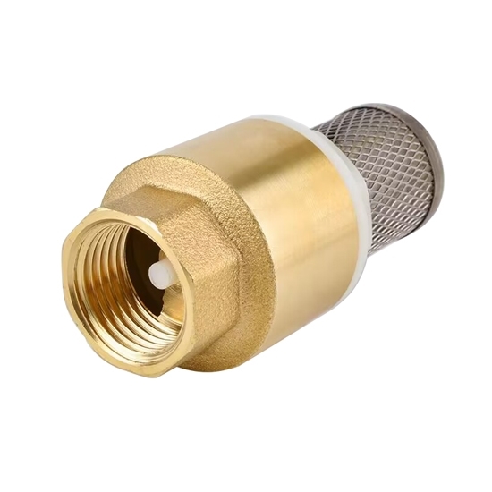 3/4 inch Brass Foot Valve for Water Pump | ATO.com