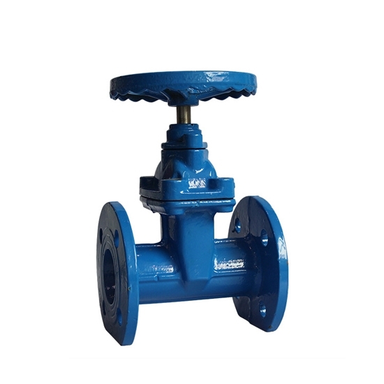 8" Resilient Wedge Gate Valve | ATO.com