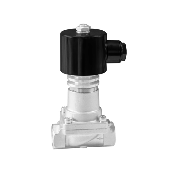 Steam Solenoid Valve, NPT, Stainless Steel, DC 12V/24V | ATO.com